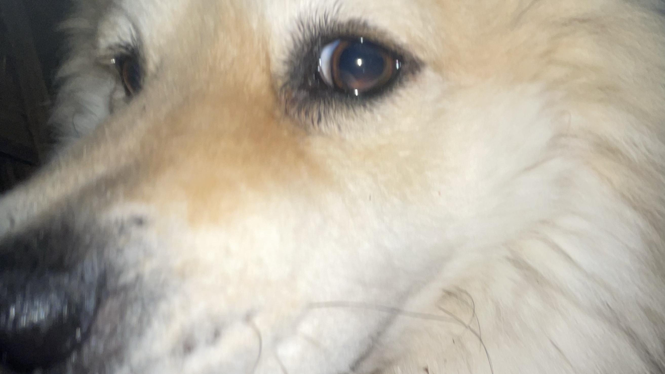 Give the best tutorial to touch grass Genshin Impact | HoYoLAB