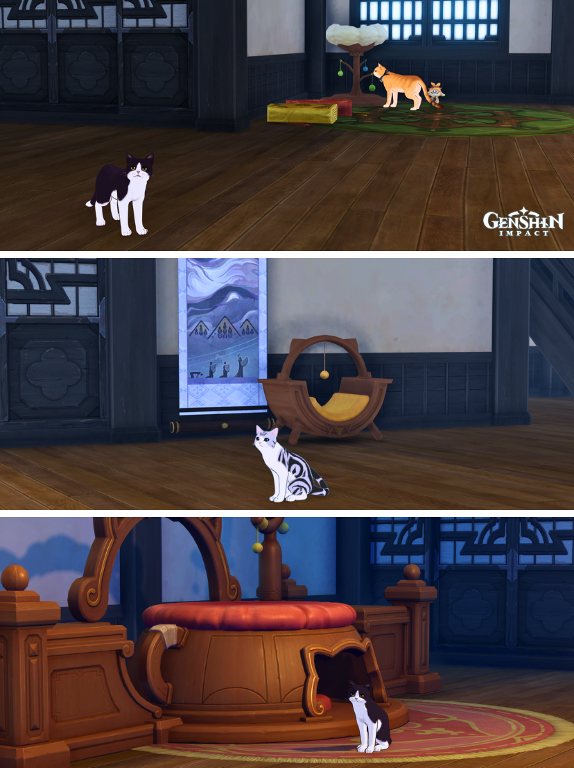 Generic Cat Posting Genshin Impact | HoYoLAB