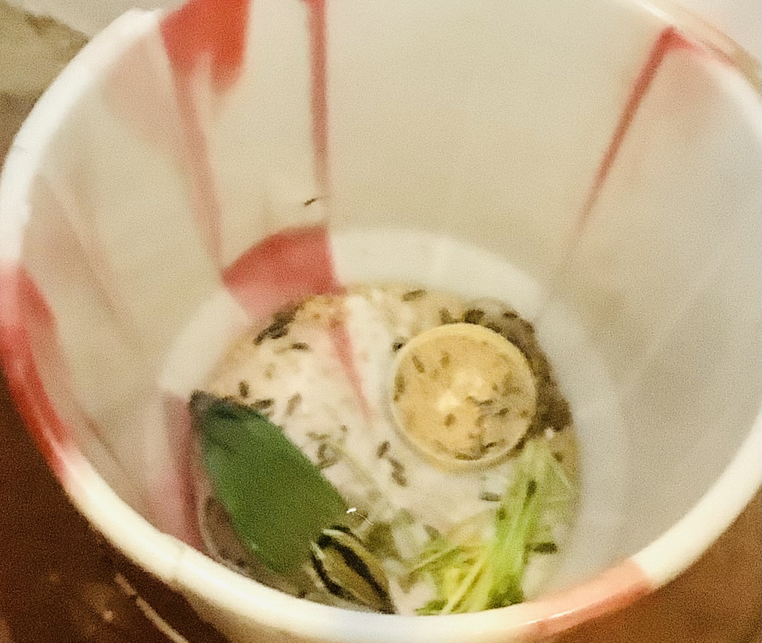Xianyuns bird in real life Genshin Impact | HoYoLAB