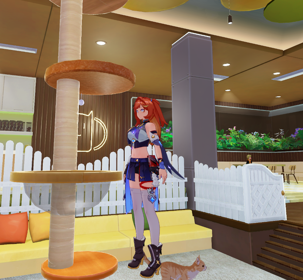 Sardine cat Honkai Impact 3rd | HoYoLAB