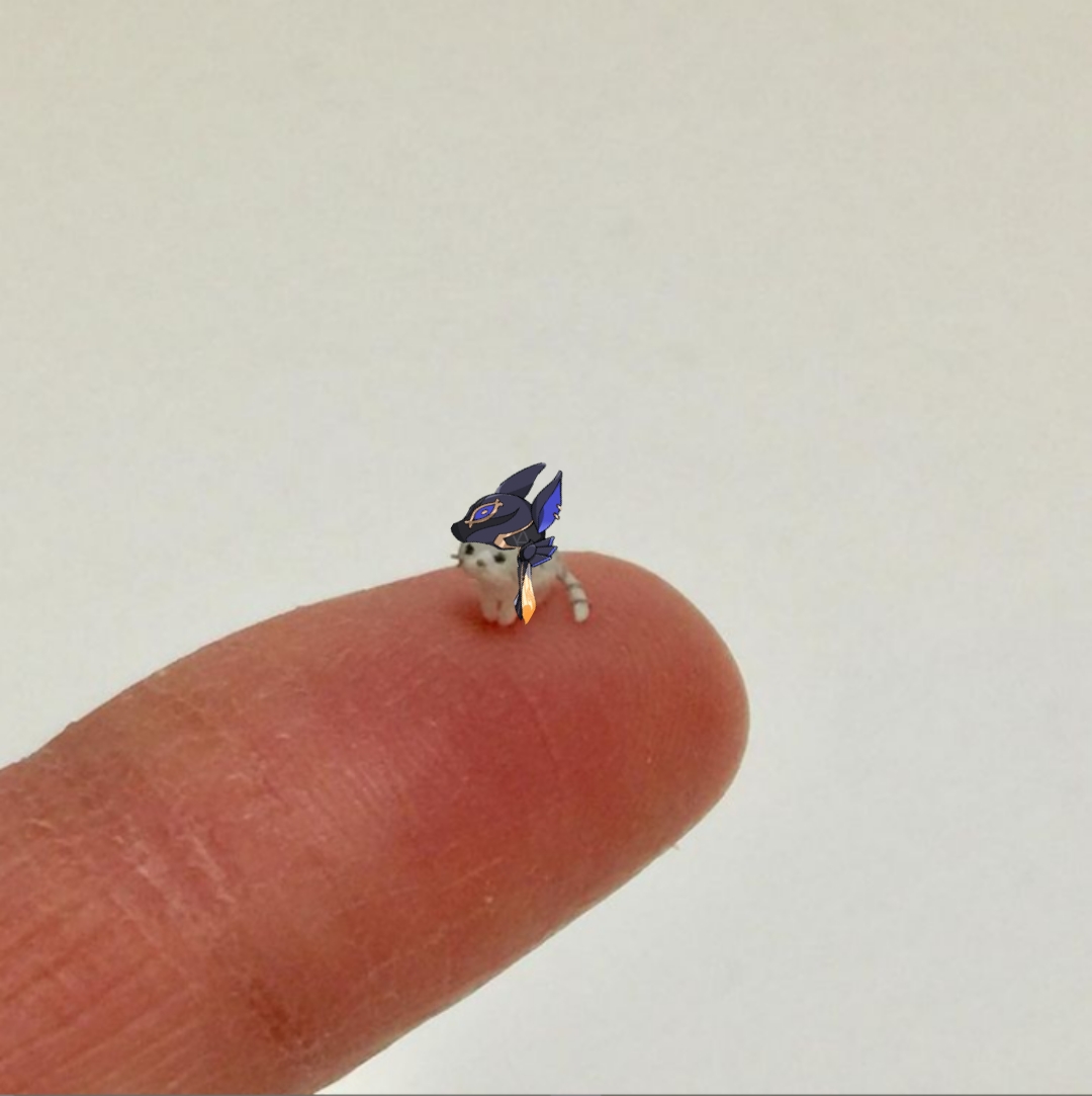 tiny meowno Genshin Impact | HoYoLAB