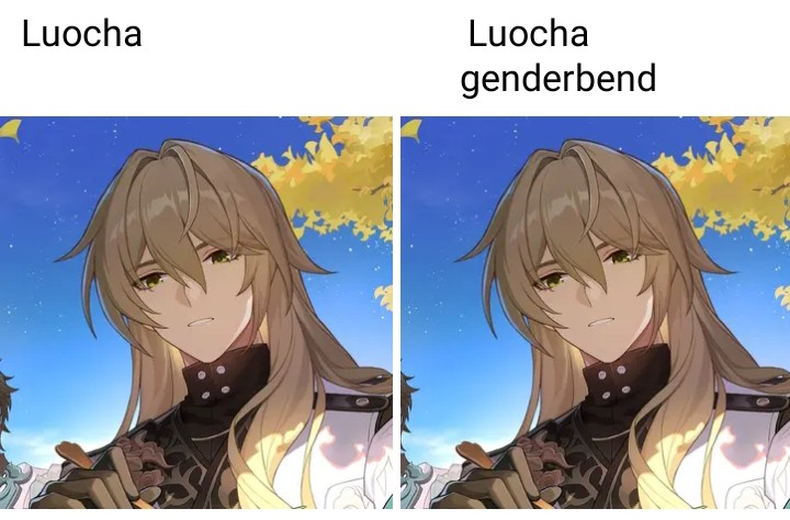 Luocha Meme Honkai: Star Rail | HoYoLAB