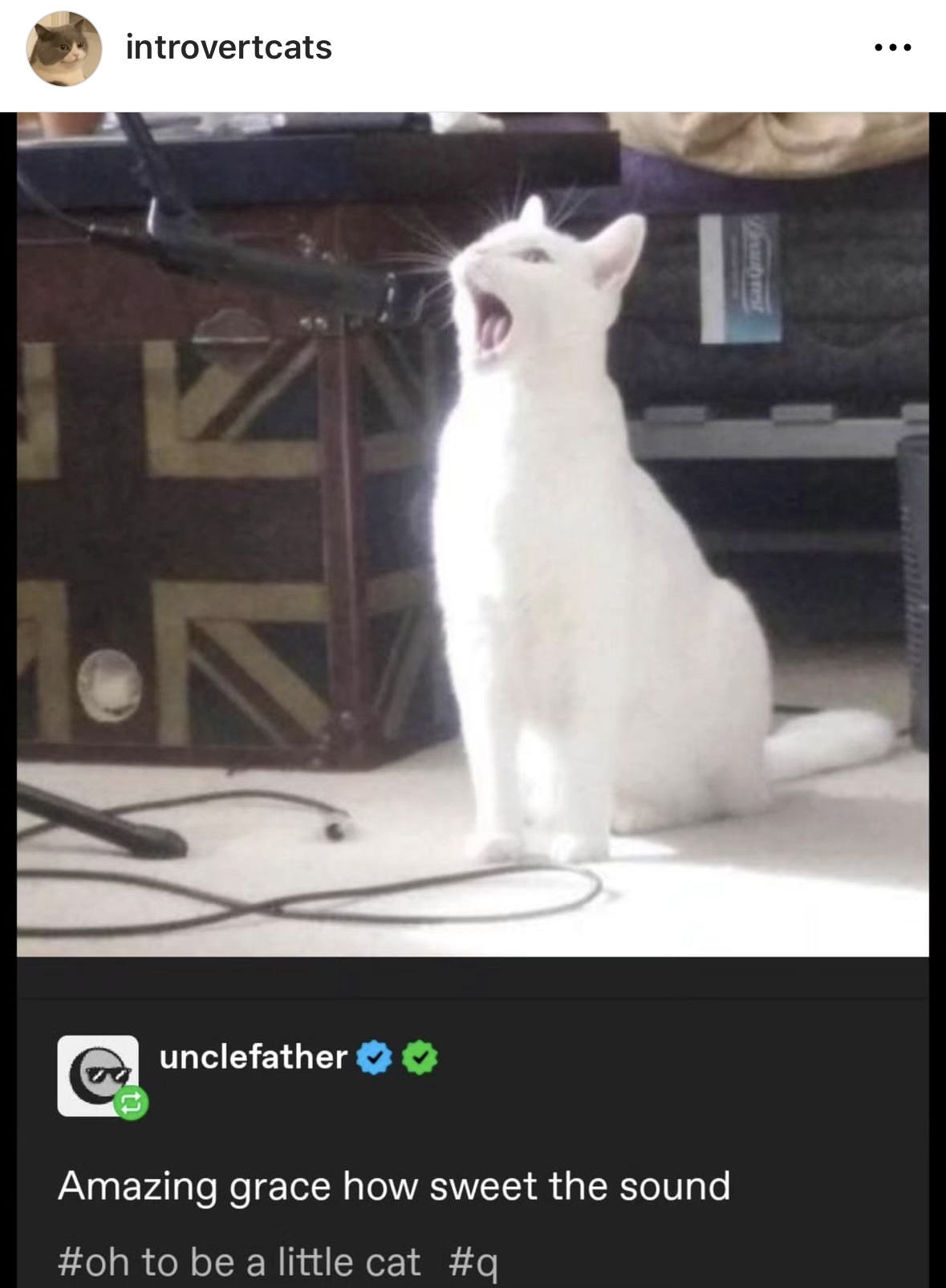 Robin (meme) Honkai: Star Rail | HoYoLAB