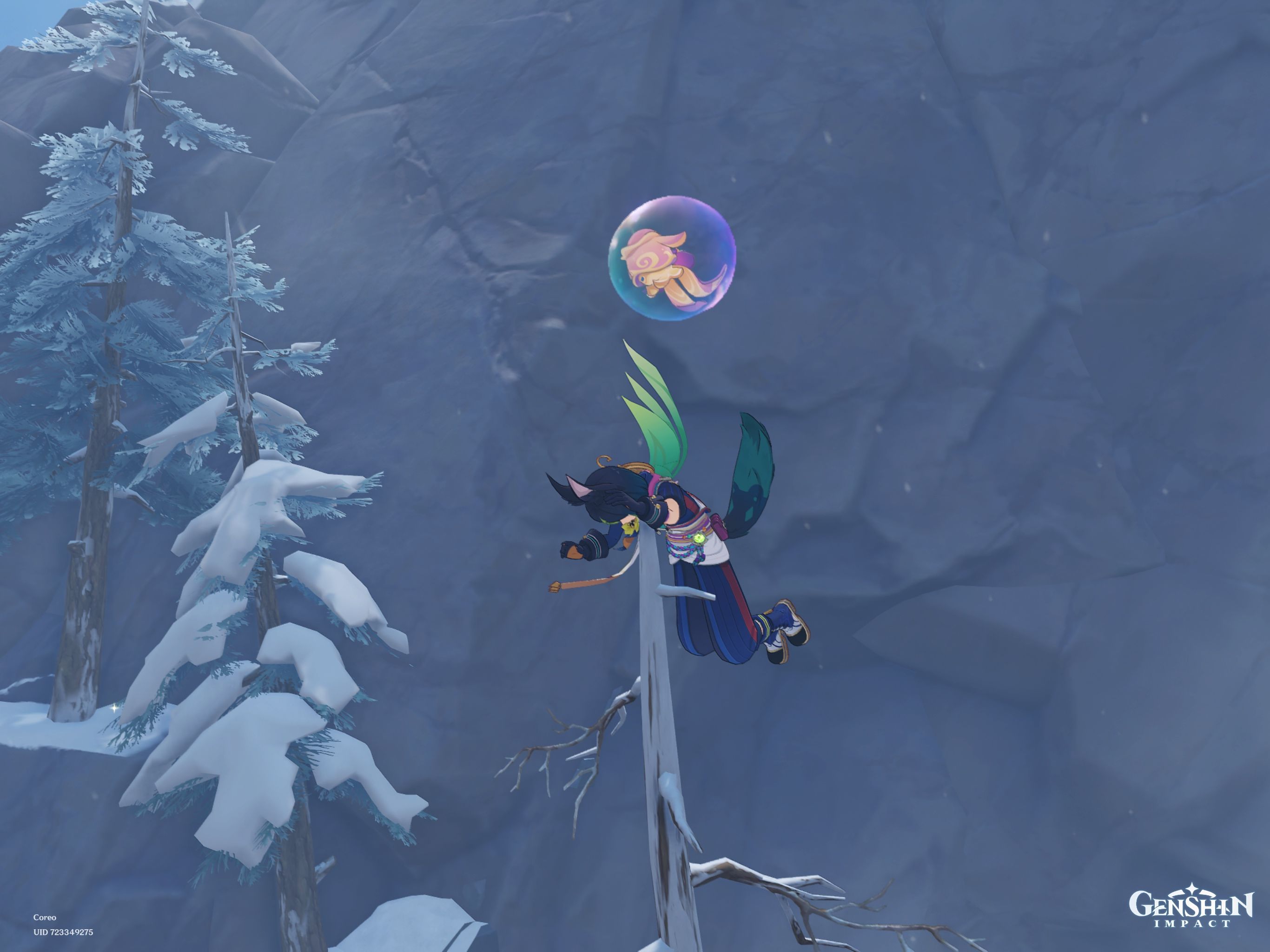 Dragonspine Trees are Dangerous Genshin Impact | HoYoLAB