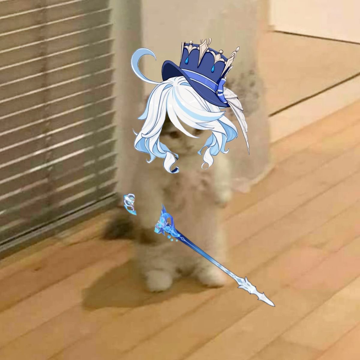 Miyaw miyawwww Genshin Impact | HoYoLAB