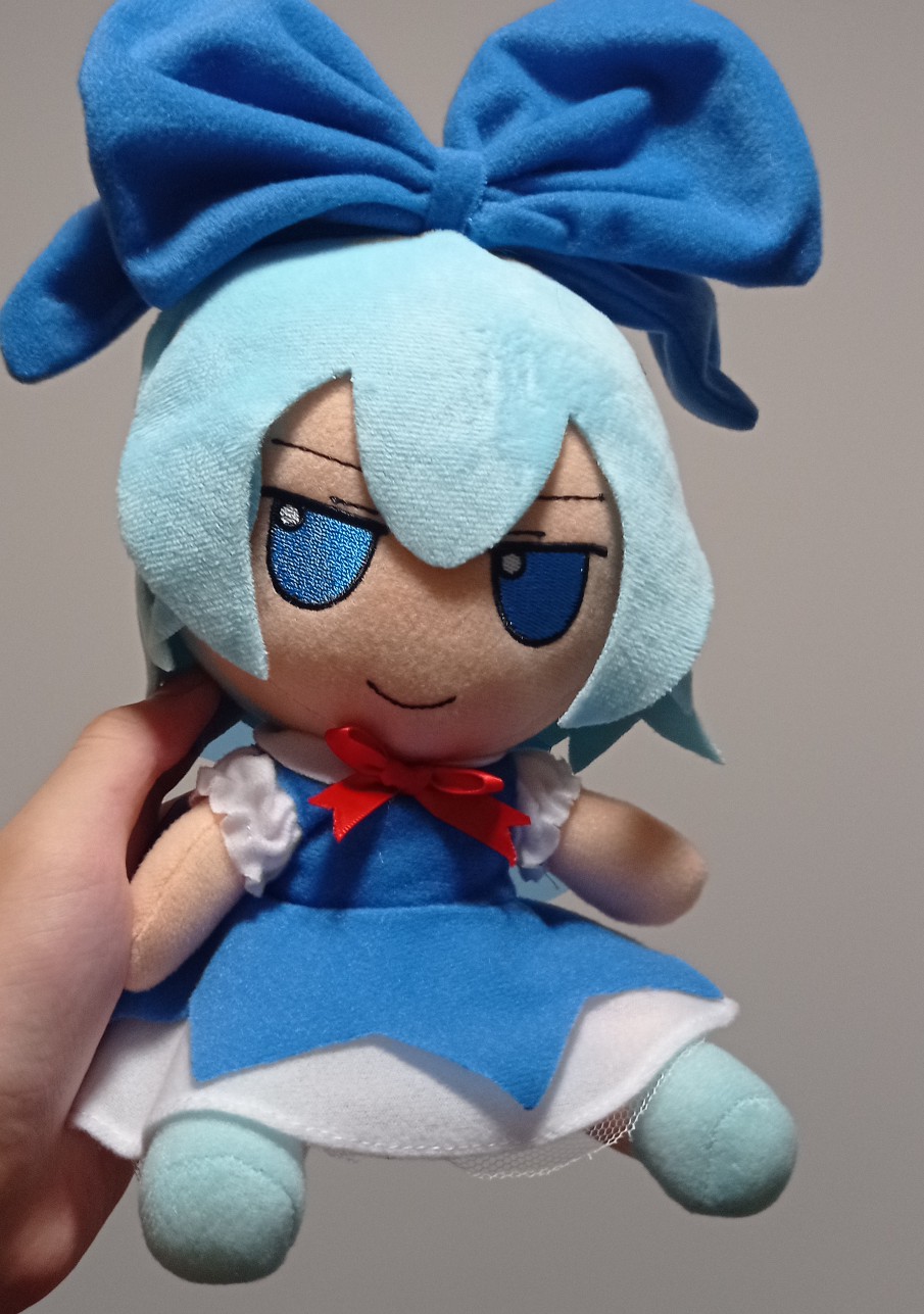 bought a cirno fumo | HoYoLAB