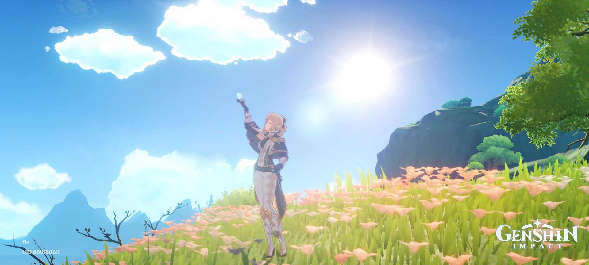 enjoying the sun in the new sumeru area Genshin Impact | HoYoLAB