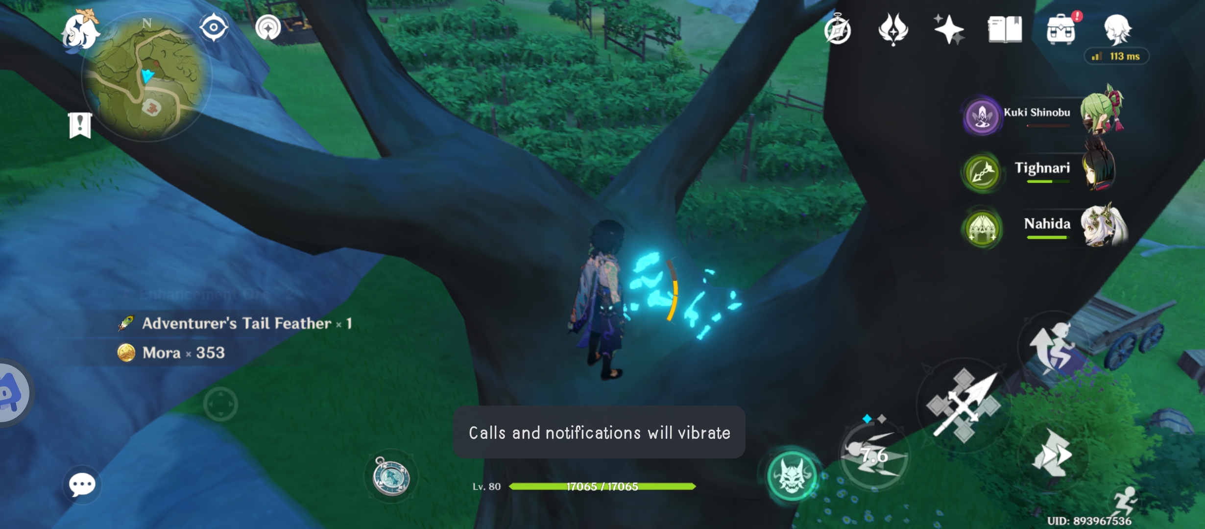 SO HAPPY ABOUT THE NEW CHEST COMPASS!! NOW I DON'T HAVE TO ALWAYS USE ...