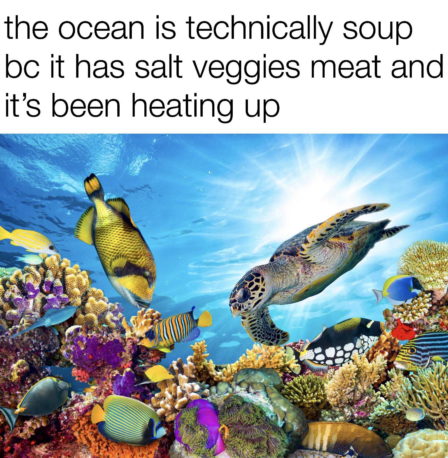 Now that I have a lot of followers, I can ask this again and get more ...