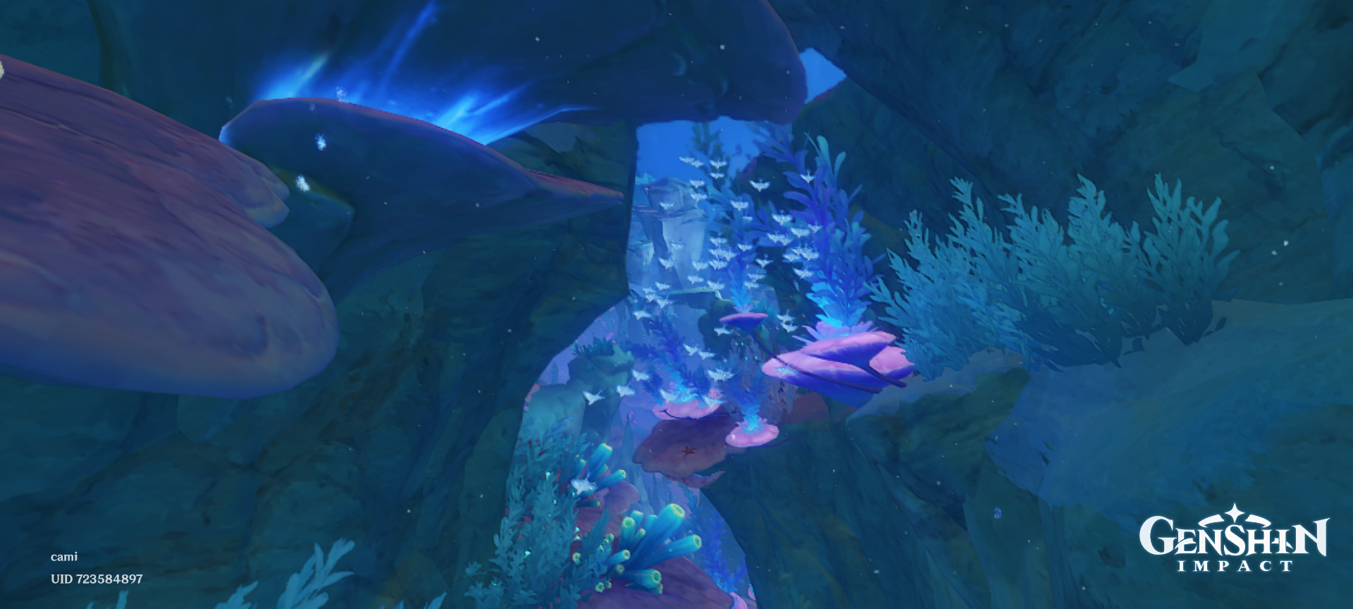 exploring Genshin Impact | HoYoLAB