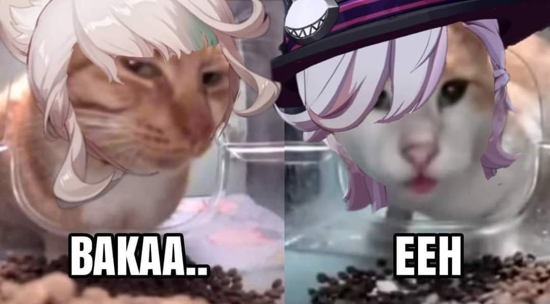 bakka Genshin Impact | HoYoLAB