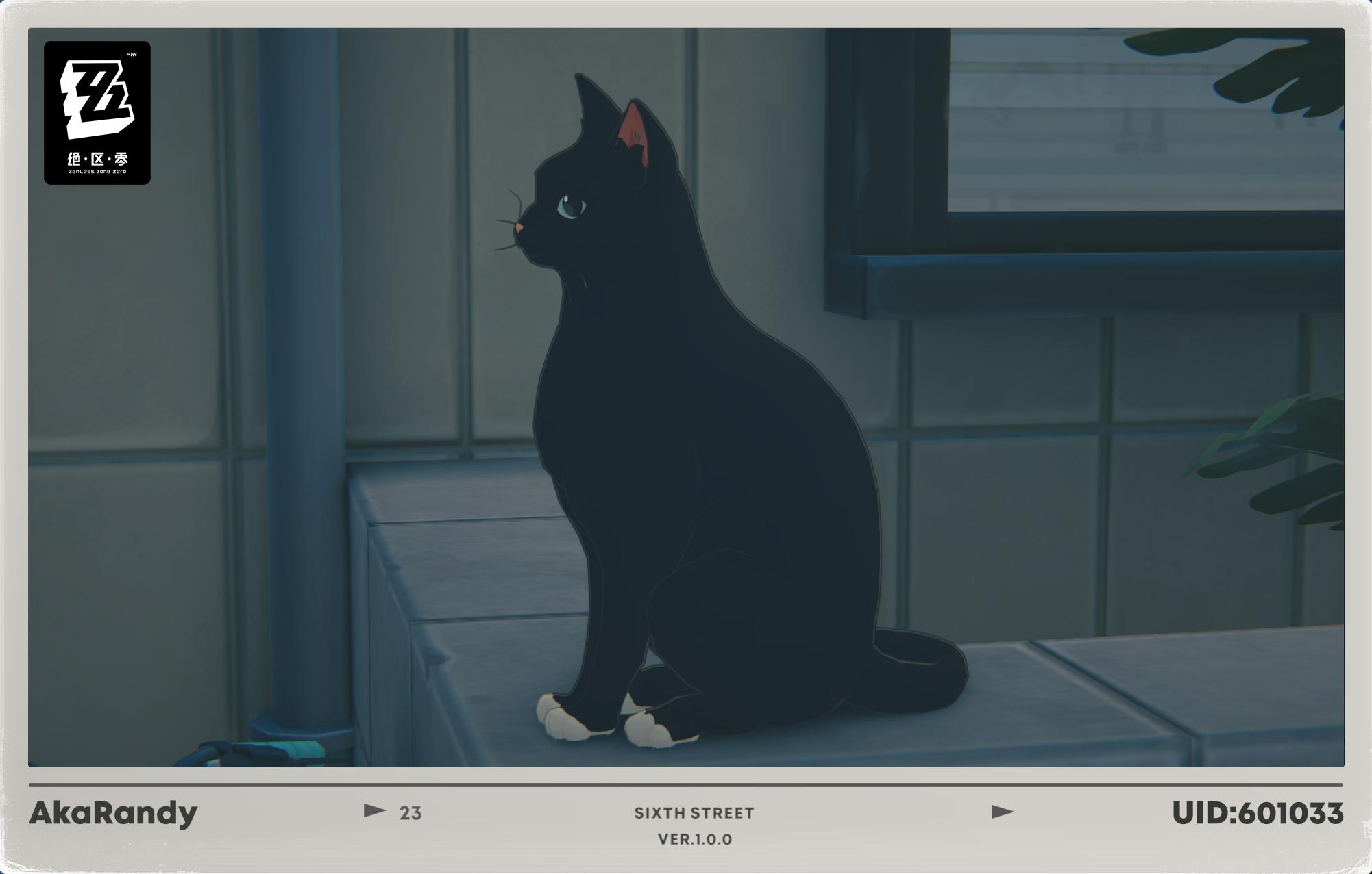 Cats in zenless zone zero 🐈 Zenless Zone Zero | HoYoLAB