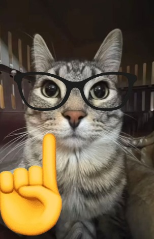 uhm actually- Genshin Impact | HoYoLAB