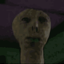 Stop, get some help. | HoYoLAB