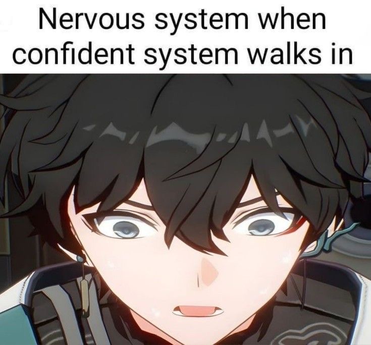 HSR memes for when you are scrolling mindlessly Honkai: Star Rail | HoYoLAB