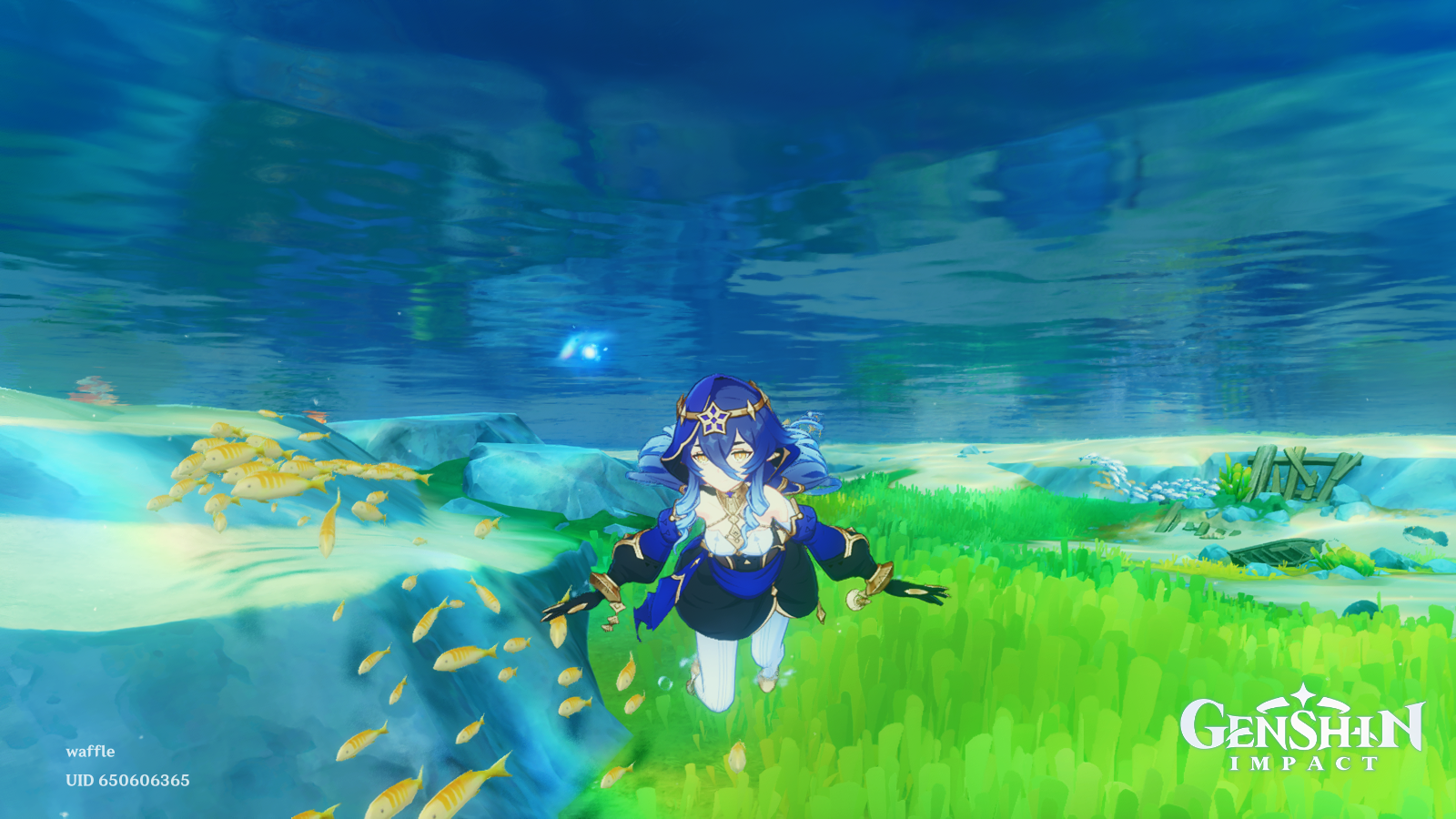 Waterrrr Genshin Impact | HoYoLAB