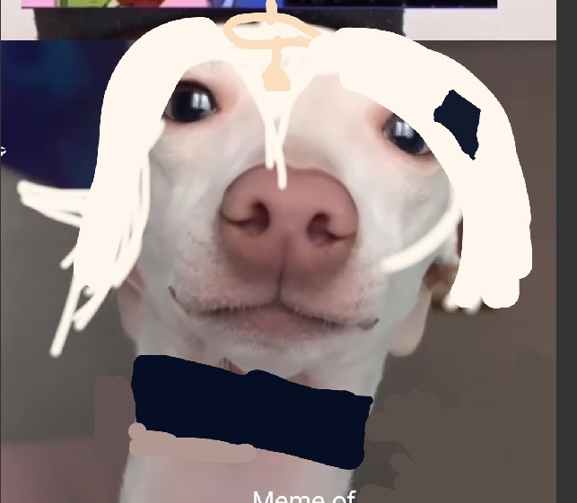 pimon 😂😂😂 Genshin Impact | HoYoLAB