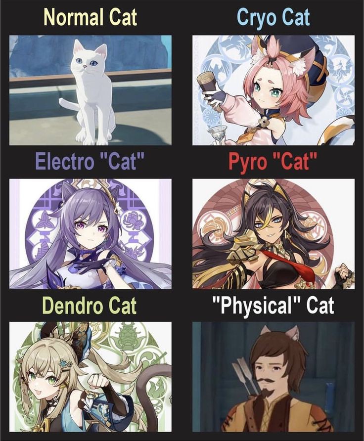 different types of cat Genshin Impact | HoYoLAB