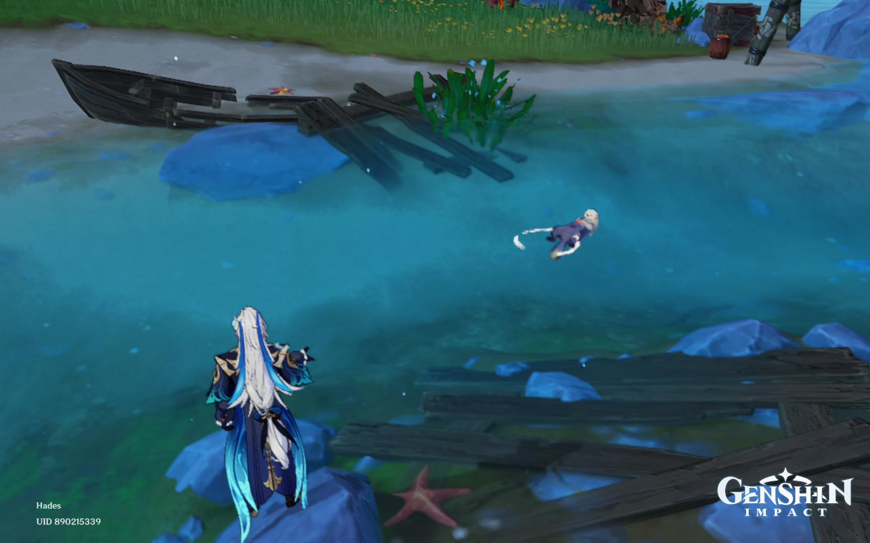 behold, for one has found the neuvi otter in-game Genshin Impact | HoYoLAB