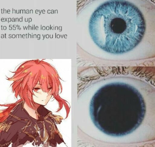 Diluc memes (pt 1) Genshin Impact | HoYoLAB