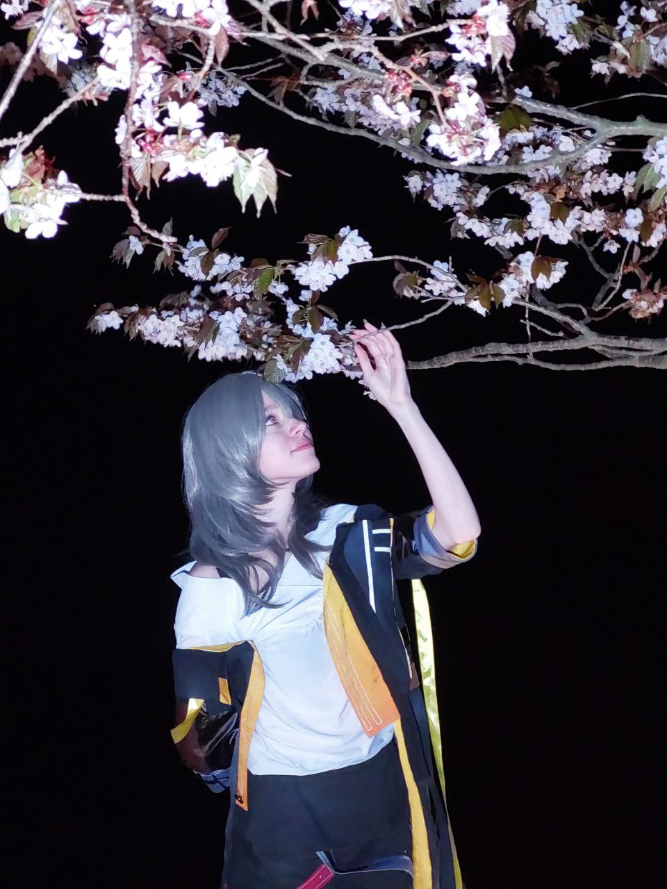 Stella hsr Honkai: Star Rail | HoYoLAB