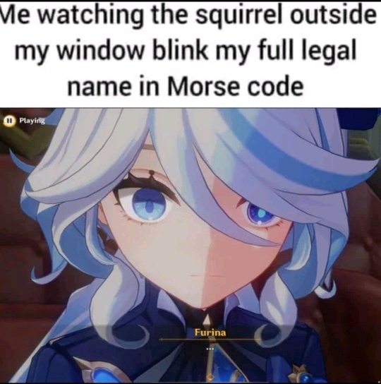 furina memes for no reason at all Genshin Impact | HoYoLAB
