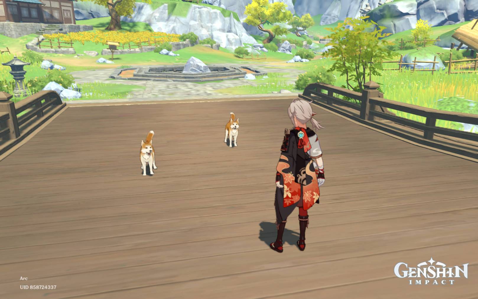 Kazu with dog Genshin Impact | HoYoLAB