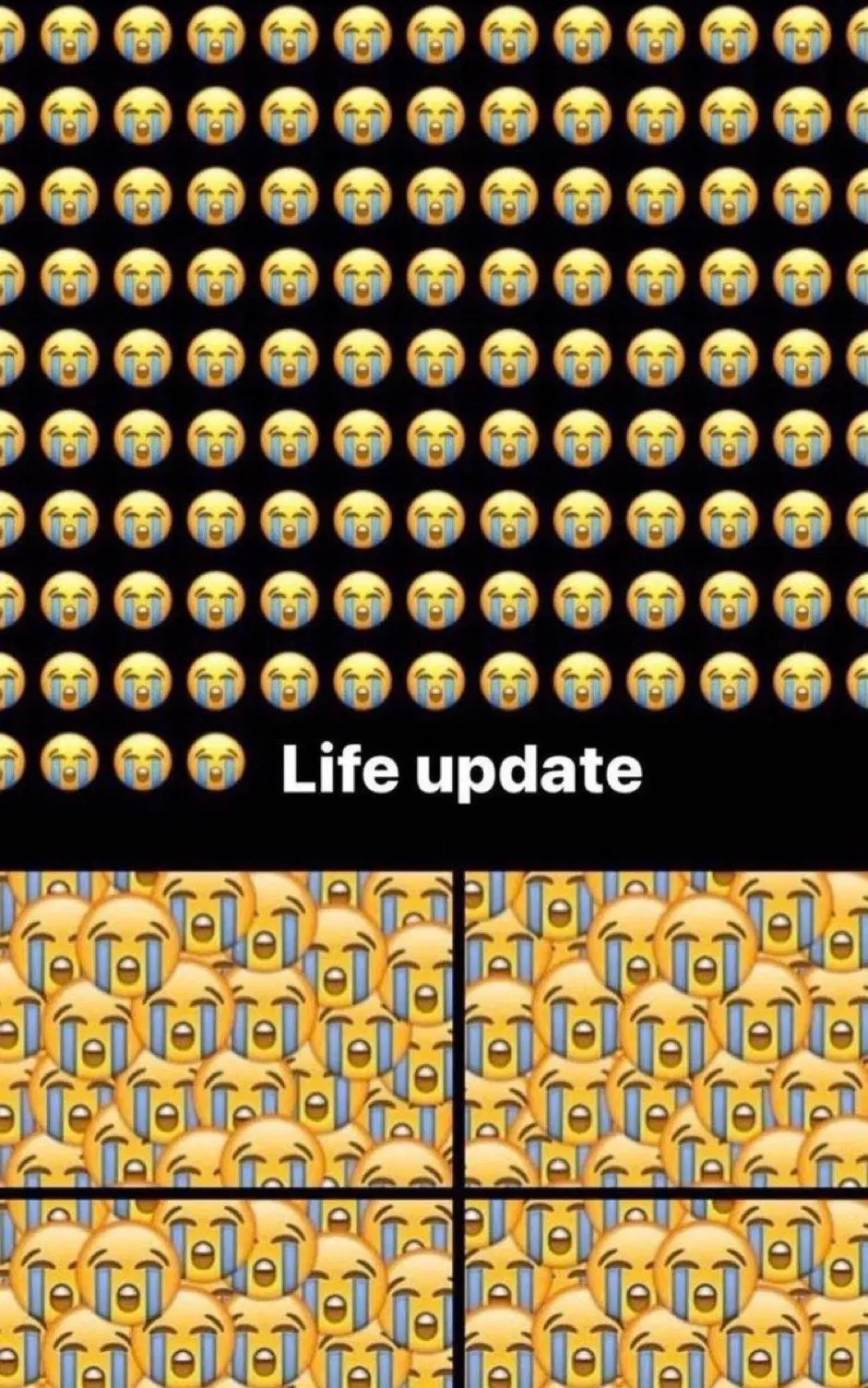 you cannot be fr right now 😭 Honkai: Star Rail | HoYoLAB