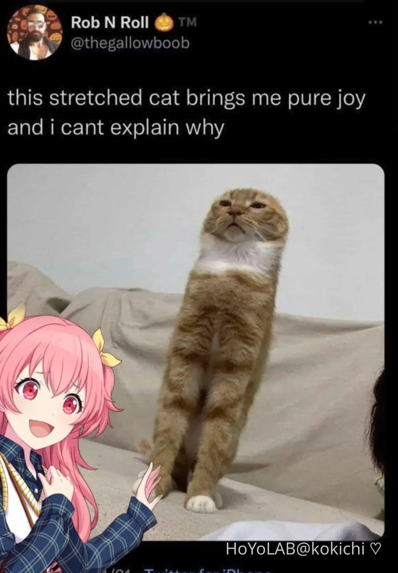 HoYoLAB - Official Community