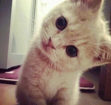 How do I play zzz rn I want to play it RIGHT NOW!! 😫😡(ps5) Zenless Zone ...