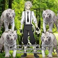Bsd memes pt3 | HoYoLAB