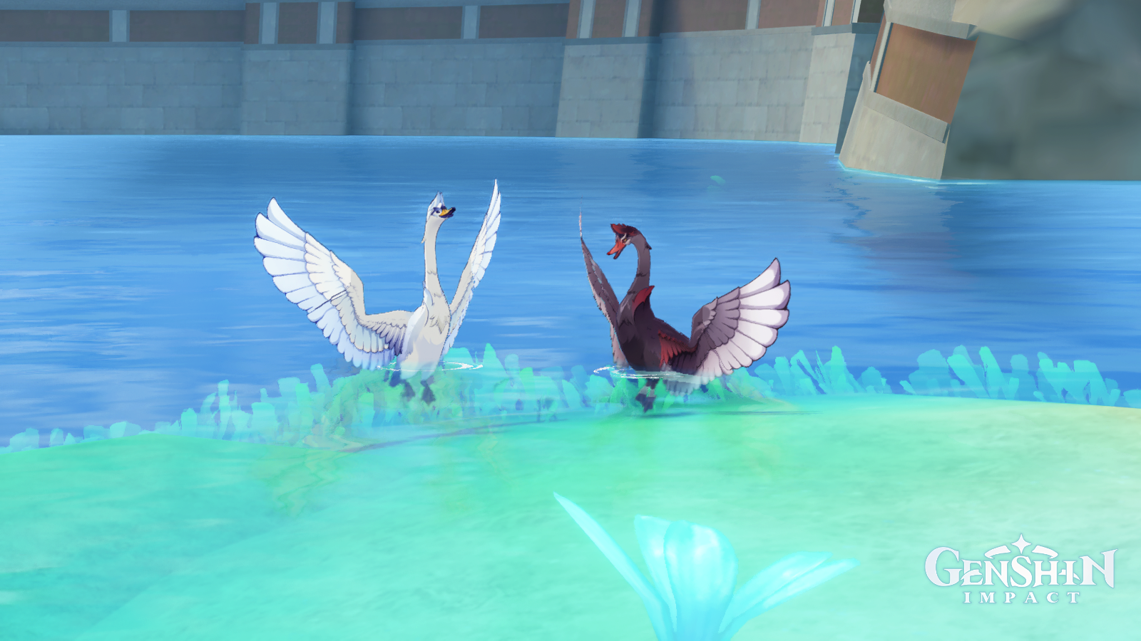 Some familiar birds Genshin Impact | HoYoLAB