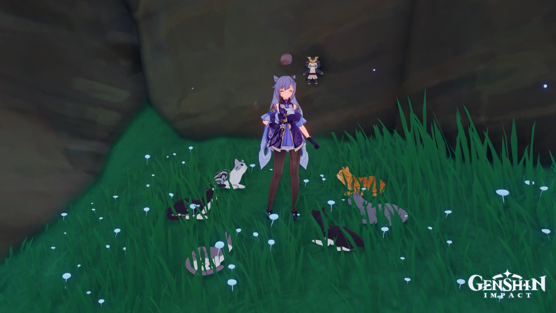 Neko queen Keqing Genshin Impact | HoYoLAB