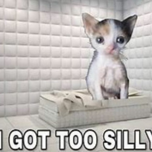 Meme drop - Sucrose down badge post day 8 Genshin Impact | HoYoLAB