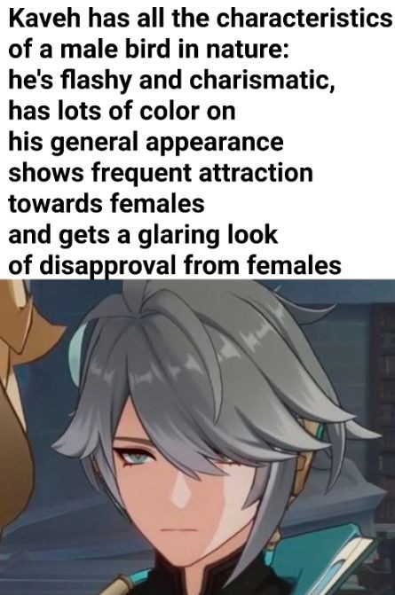 anddd here's the next kavetham meme for today Genshin Impact | HoYoLAB