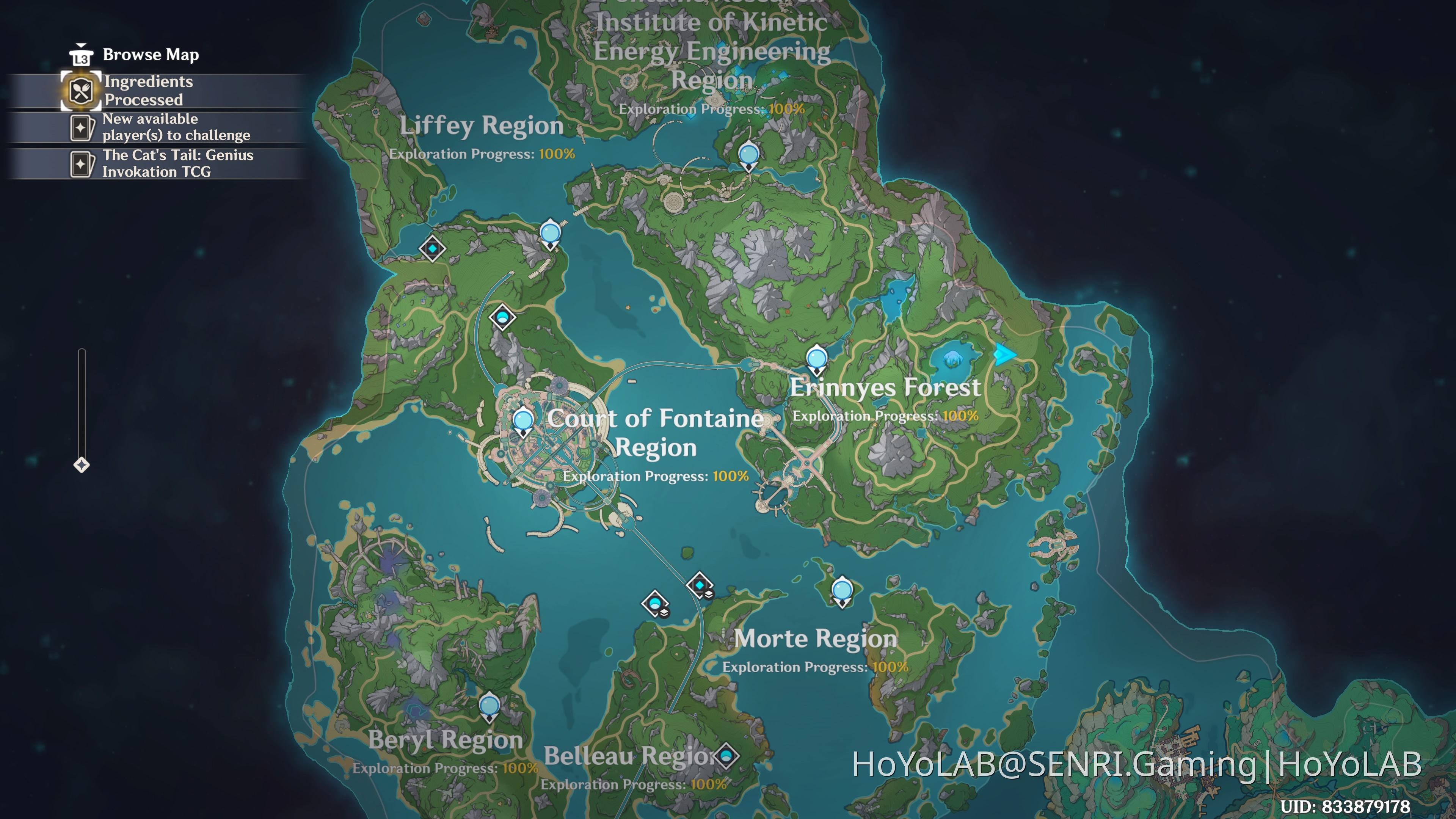 At last 100% complete Erinnyes Forest explonation. I just missed the ...