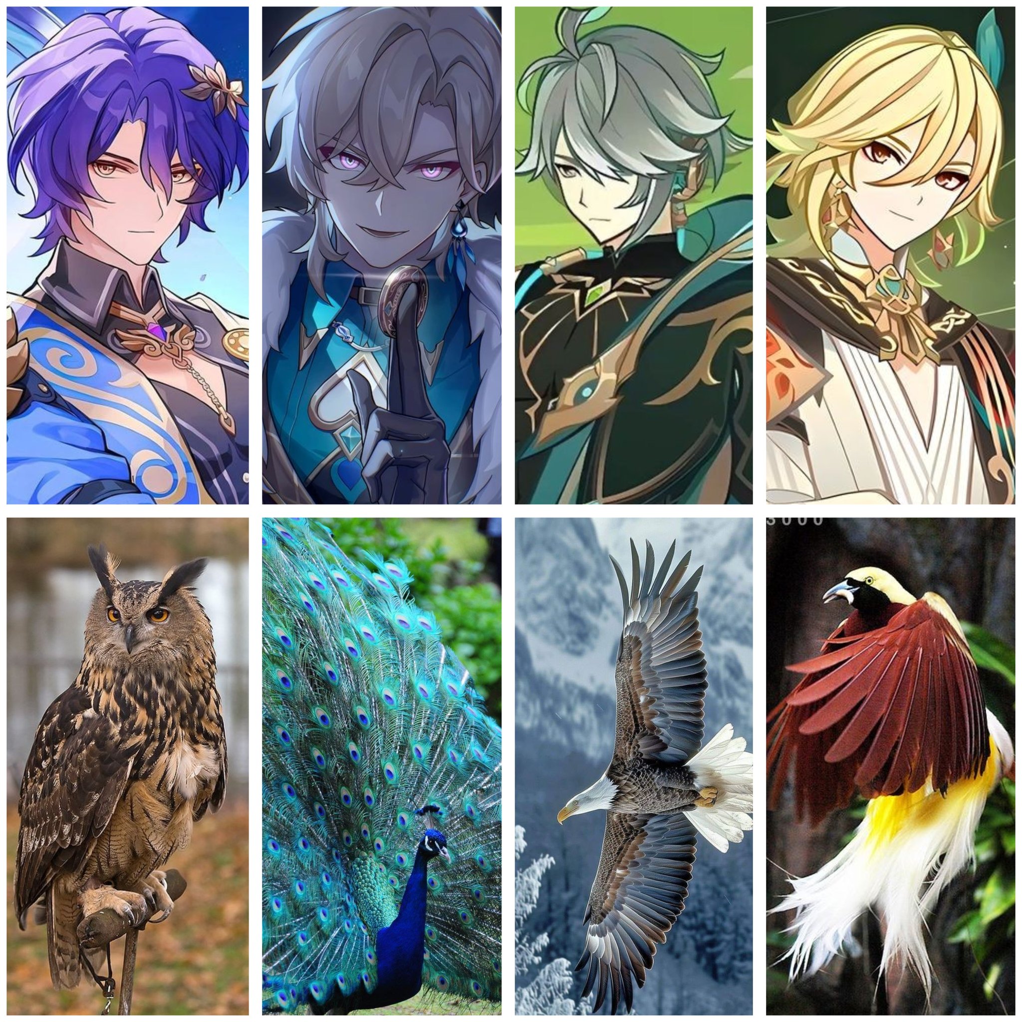 Bird Couple Genshin Impact | HoYoLAB