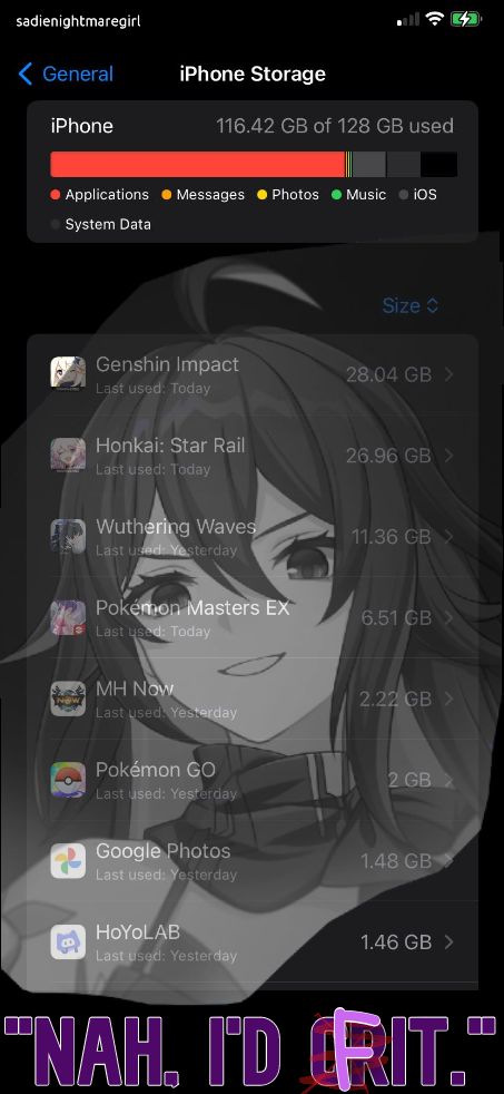 "ZZZ Storage Problems? Outta Phone Space for ZZZ? Nah, I'd Fit ...