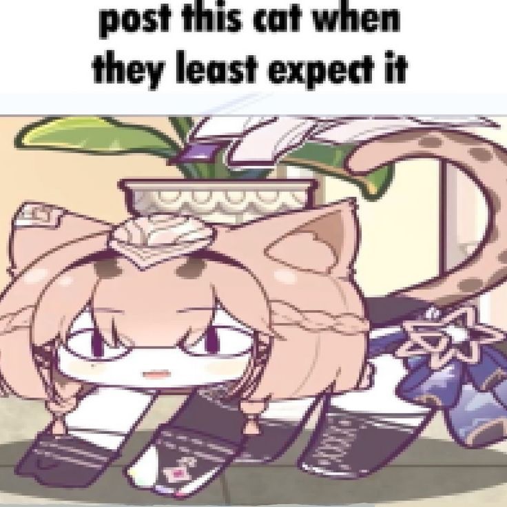 I laugh everytime i see this Honkai Impact 3rd | HoYoLAB