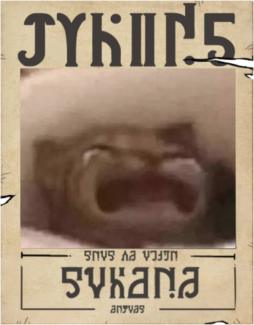 Crying over Boothill Honkai: Star Rail | HoYoLAB