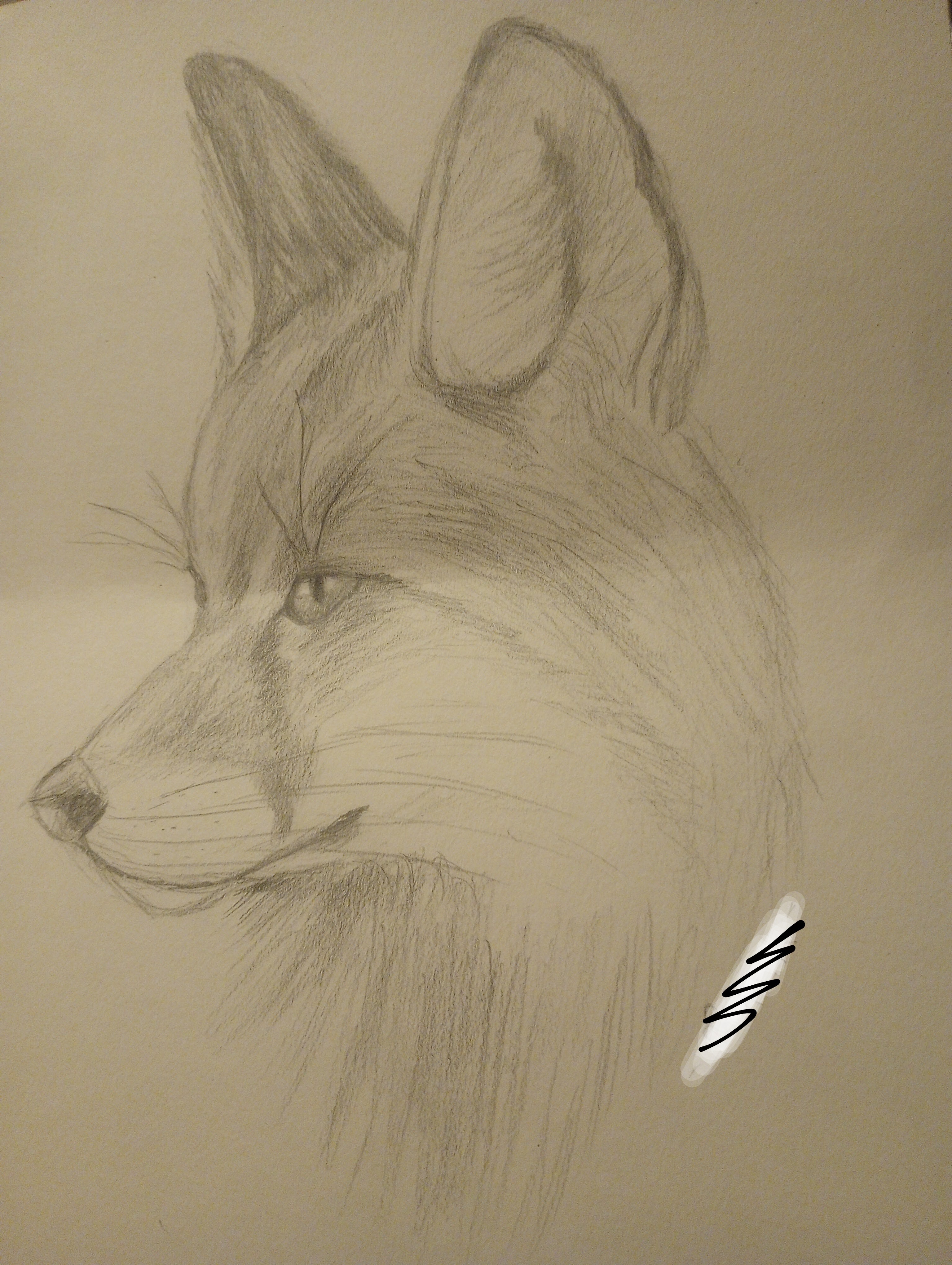 Finished My Autumn Blitz Art Genshin Impact | HoYoLAB