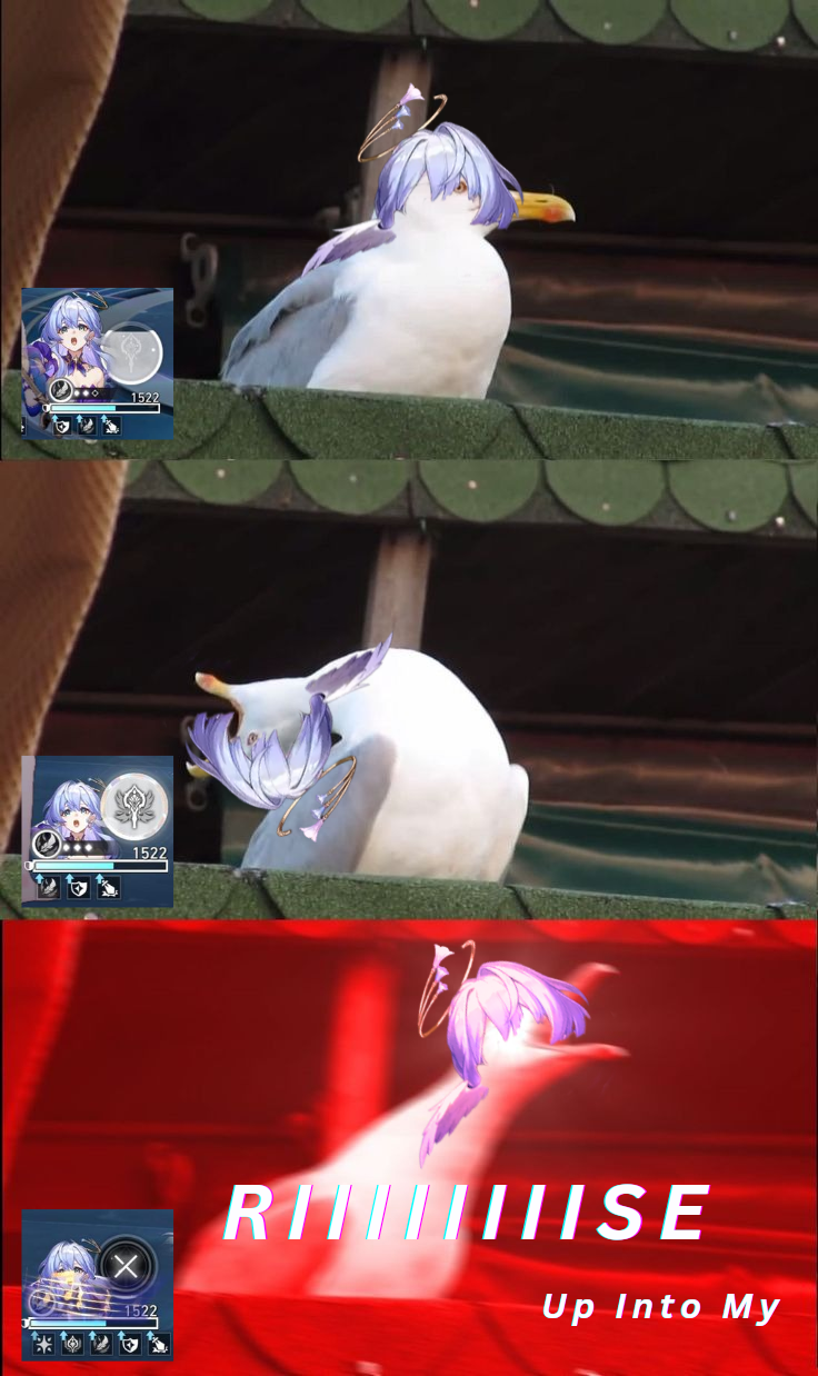 posting a robin meme until I give up # 21-12 Honkai: Star Rail | HoYoLAB