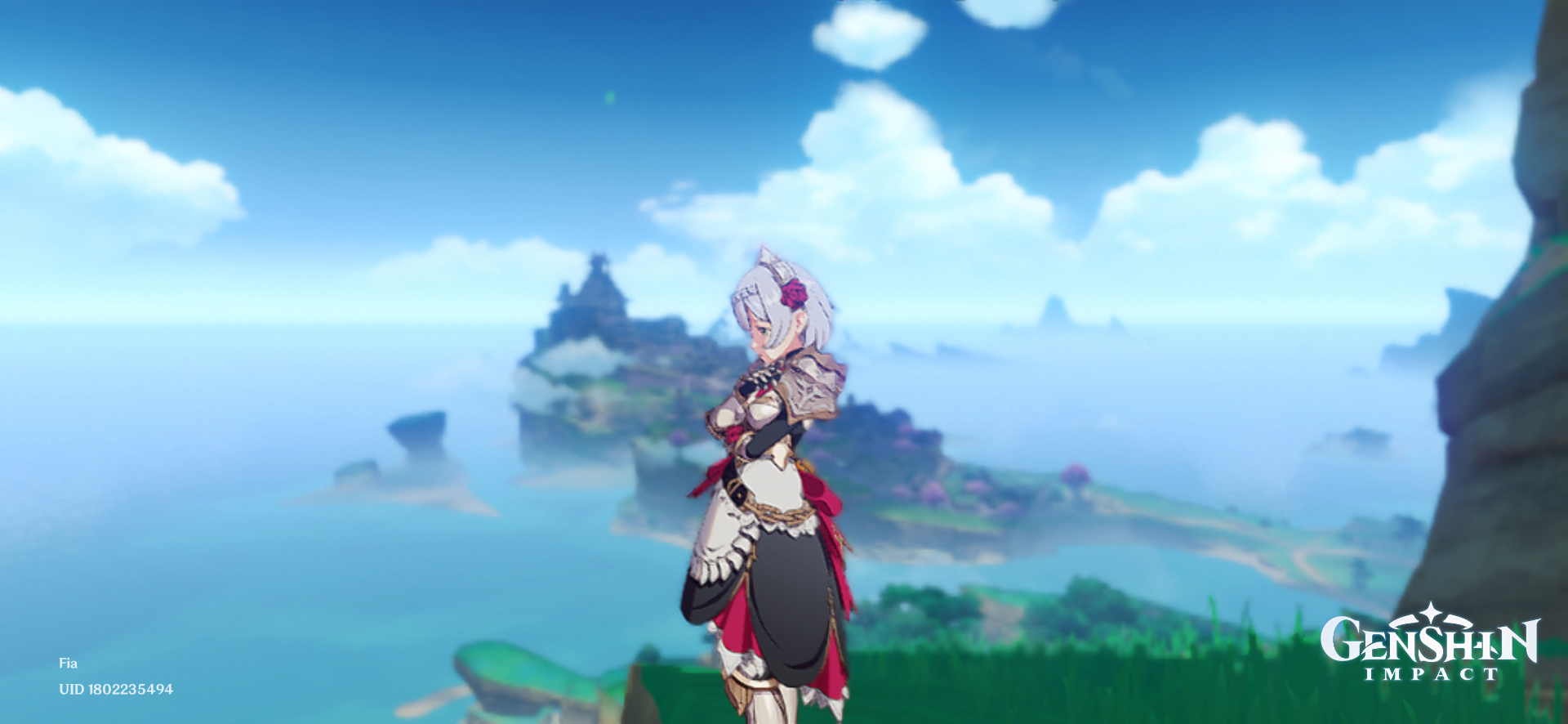𝑮𝒆𝒏𝒔𝒉𝒊𝒏 𝒊𝒎𝒑𝒂𝒄𝒕 𝑵𝒐𝒆𝒍𝒍𝒆 𝒑𝒊𝒄𝒕𝒖𝒓𝒆𝒔 Genshin Impact | HoYoLAB