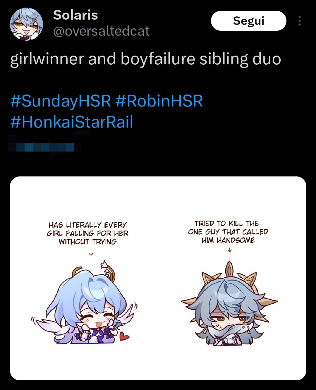 girlwinner and boyfailure siblings duo Honkai: Star Rail | HoYoLAB