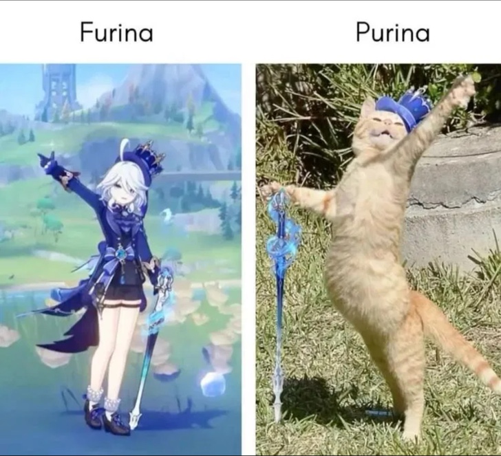 furina appreciation post 4 Genshin Impact | HoYoLAB