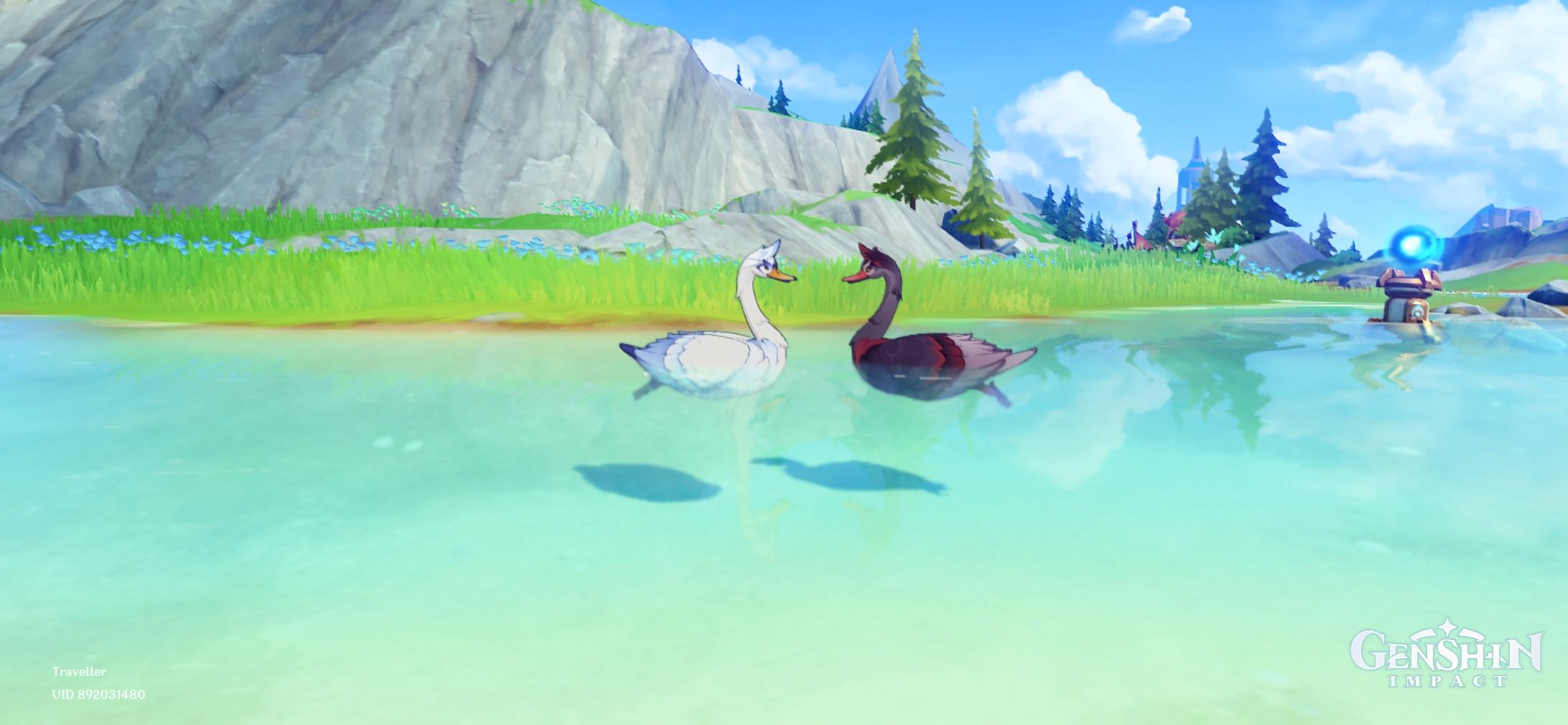 The bird versions of Wroithesley and Neuvillette Genshin Impact | HoYoLAB