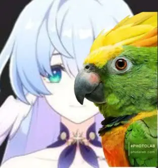 zaryanka z zelyoni popugay 😝🤟 Honkai: Star Rail | HoYoLAB