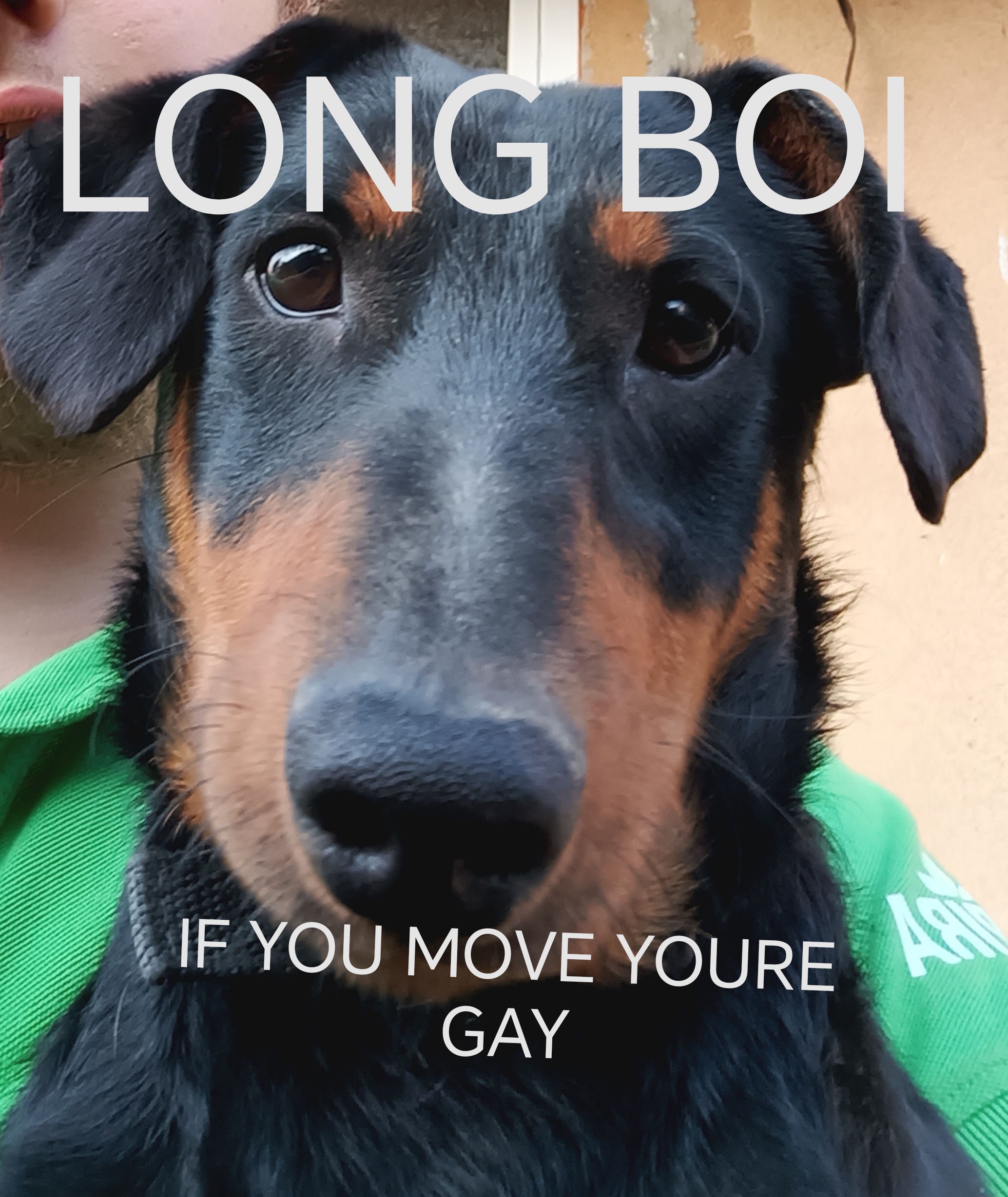 Look at this goofy little guy | HoYoLAB