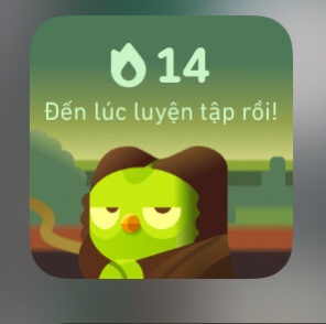 Ôi Mona Lingo | HoYoLAB