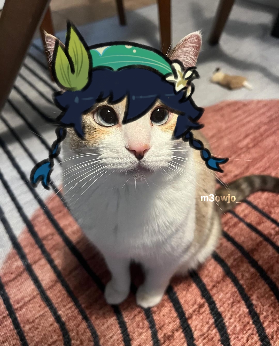 Here * catified your venti * Genshin Impact | HoYoLAB